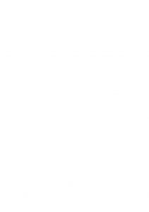 Streli Mamba – SSV Ulm 1846 Fußball